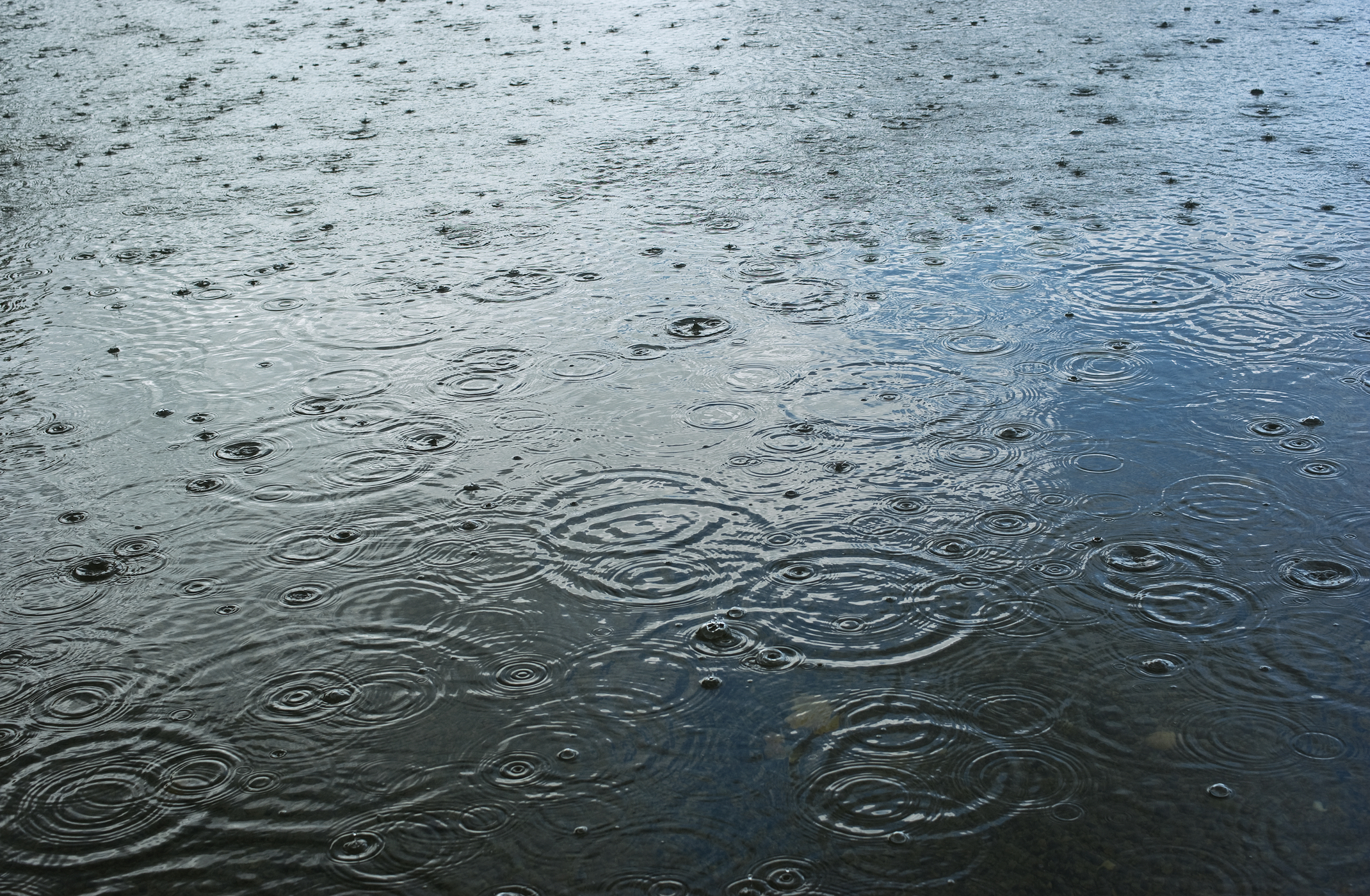 Rainwater - Smart Water Advice